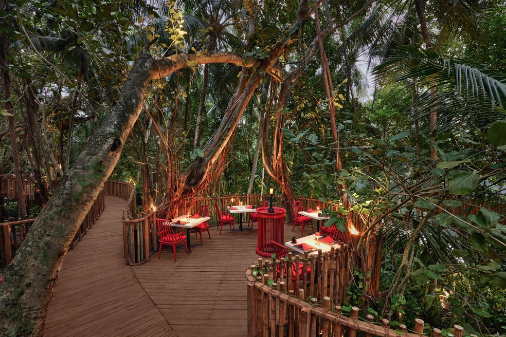 Treetop dining! 3 restaurantes instalados no topo de árvores que vão te ...