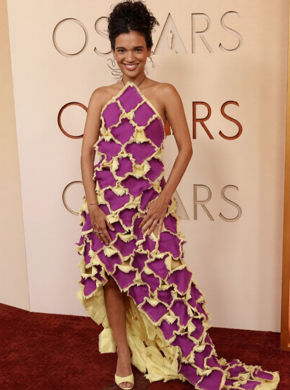 Oscar 2026: confira todos os looks dos brasileiros no tapete vermelho ...