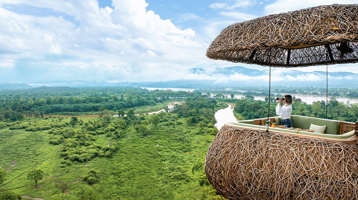Treetop dining! 3 restaurantes instalados no topo de árvores que vão te ...