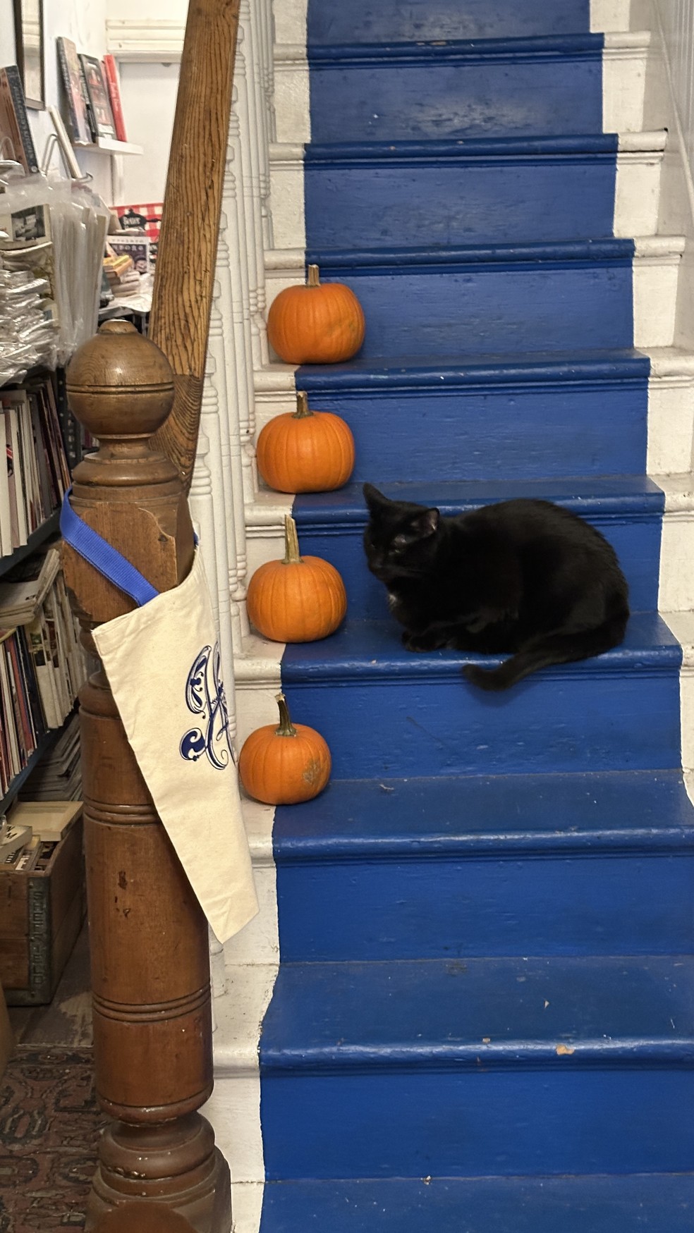 High Valley Books: por dentro da revistaria do Brooklyn que virou ...