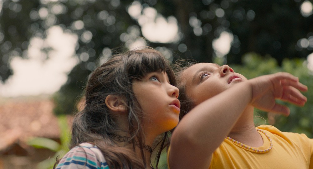 Os candidatos ao Kikito: 6 filmes para ficar de olho em Gramado