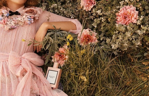 Gucci Bloom: o perfume assinado por Alessandro Michele chega ao Brasil