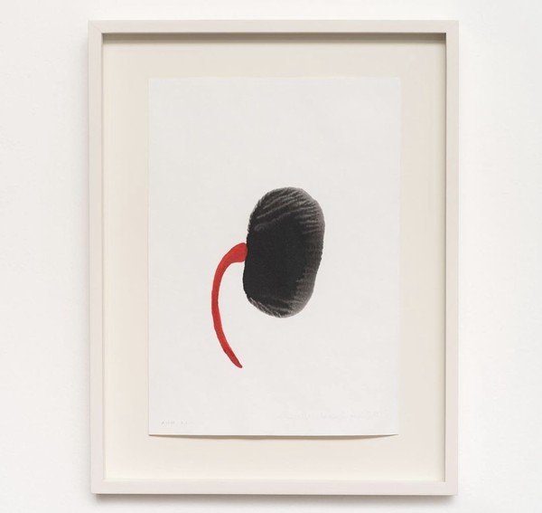 Anna Maria Maiolino ganha mostra solo na Galeria Luisa Strina