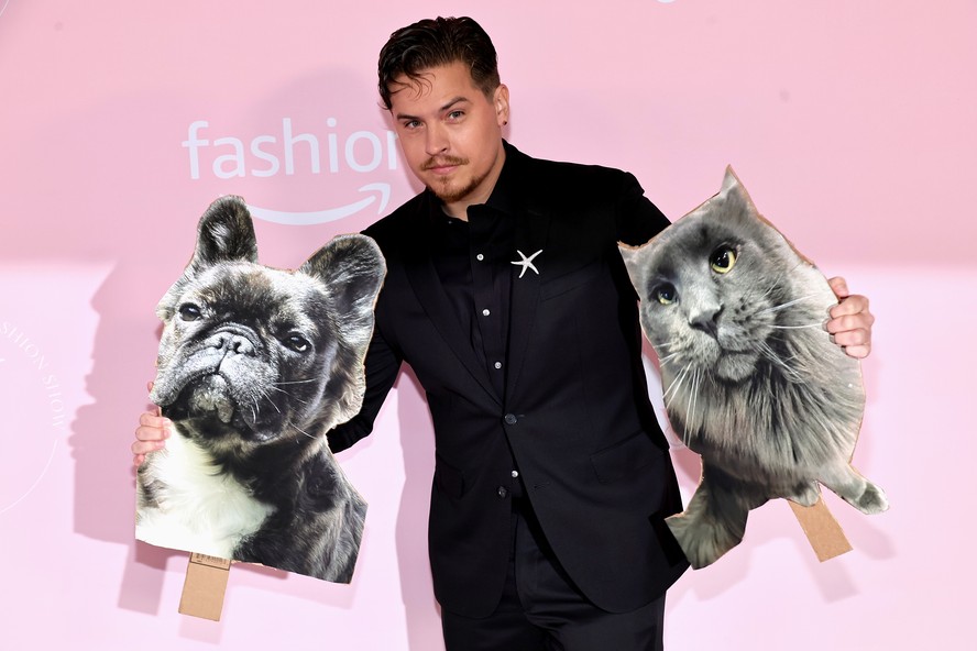 Dylan Sprouse leva fotos de seus animais de estimação para acalmar ...