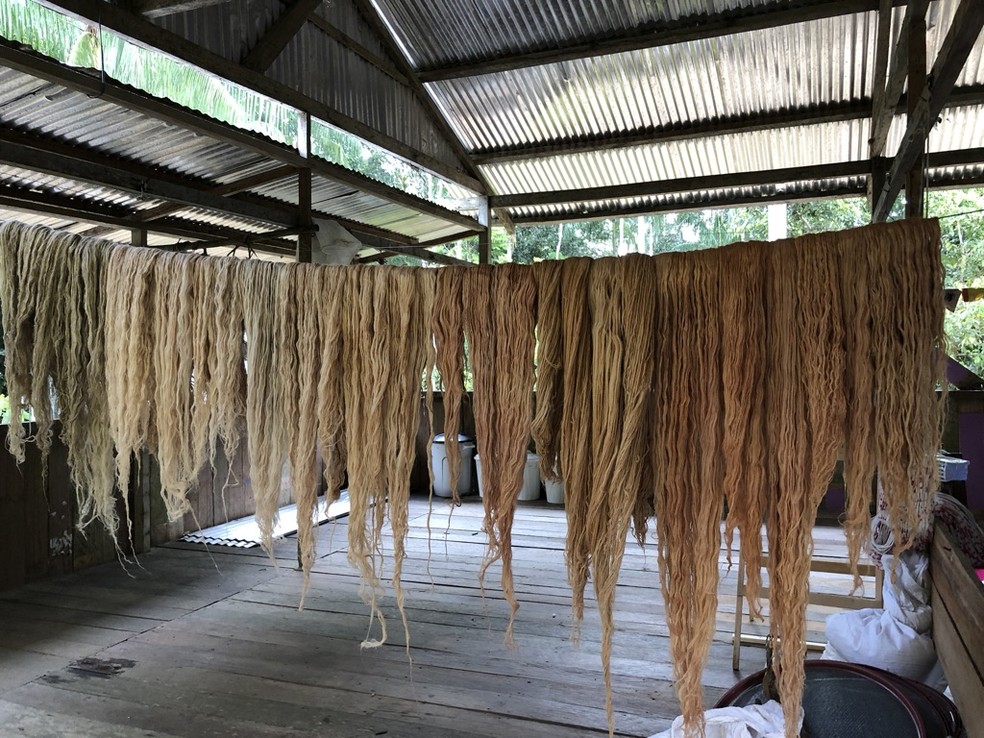 Linha do tucum: o que a moda pode aprender com a fibra amazônica usada ...