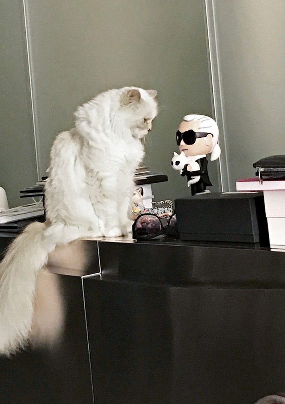 Choupette retorna à cena em clique parisiense com Naomi Campbell