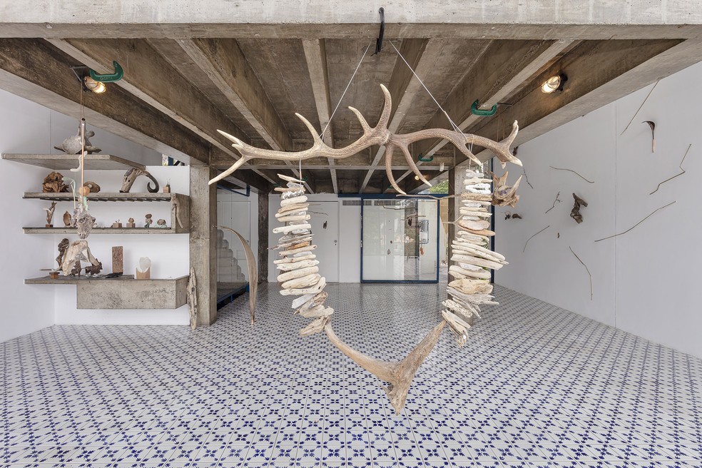 Regina Dabdab estreia sua primeira mostra individual