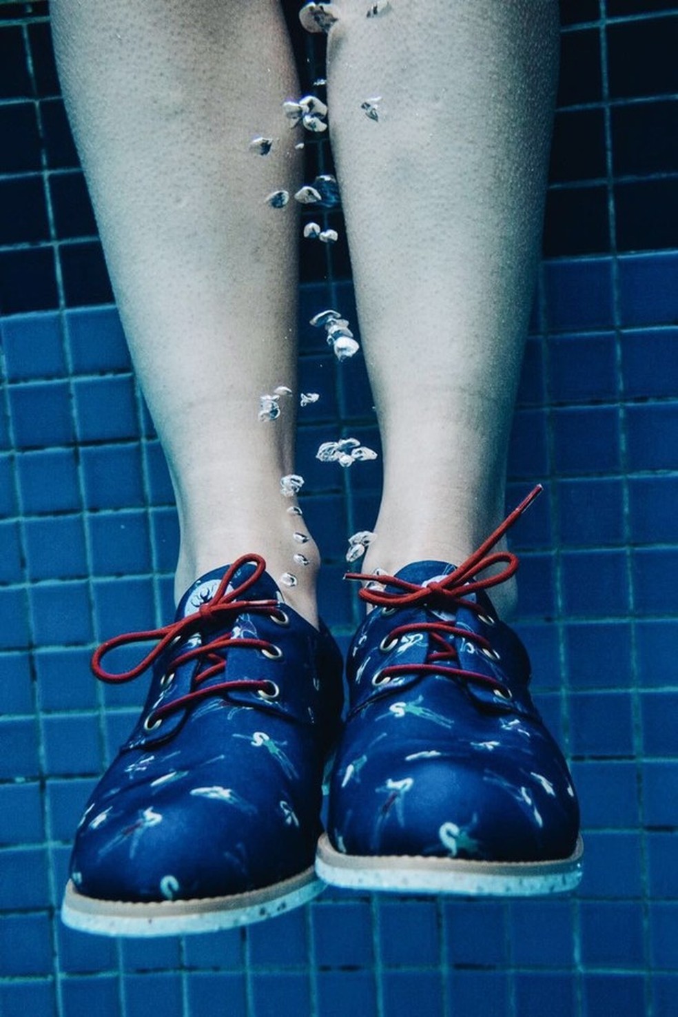 Insecta Shoes, uma das ganhadoras do Prêmio ECOERA 2015, recebe ...