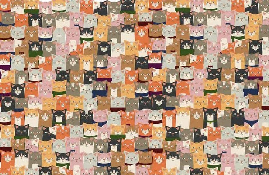 Você consegue encontrar o único gato diferente nesta imagem em 6 ...