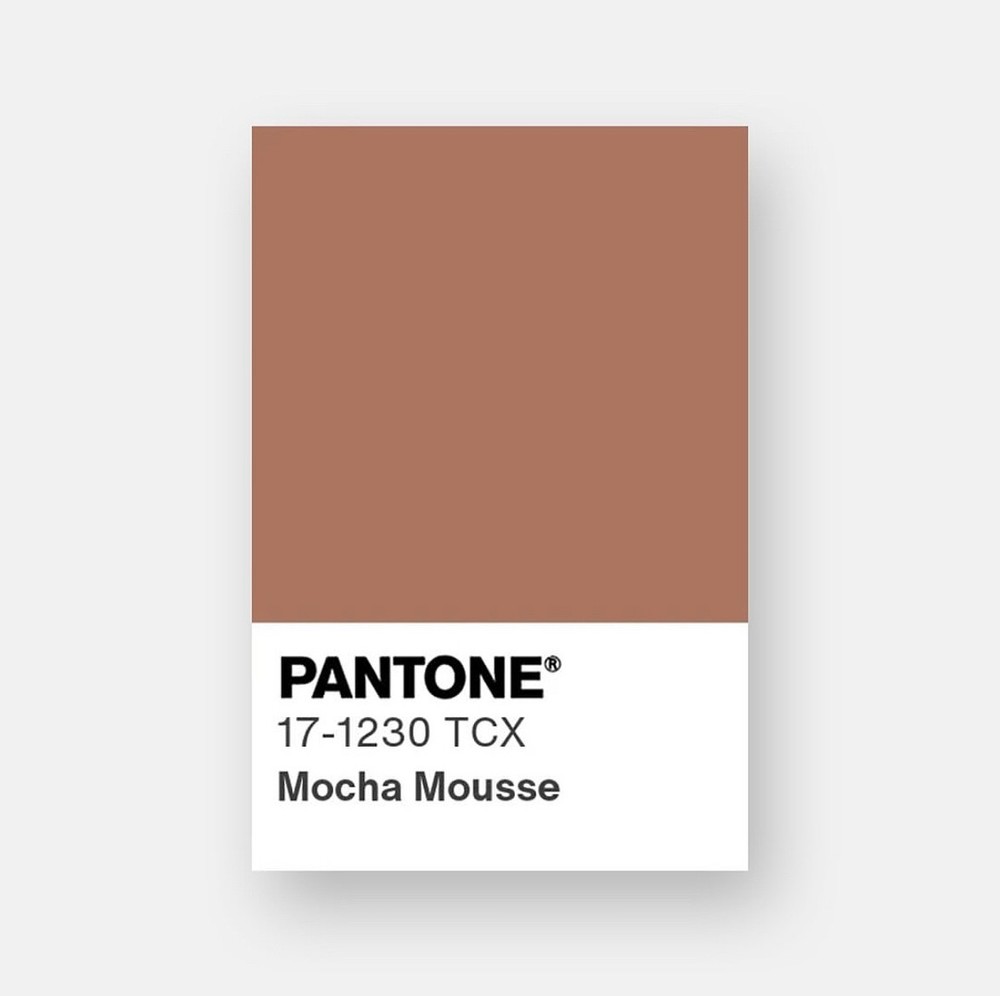 Mocha mousse: inspire-se na cor do ano de 2025 da Pantone para colorir ...
