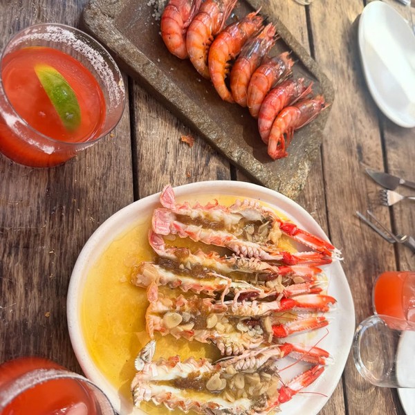 Dua Lipa abre álbum de fotos da comemoração antecipada de seu ...