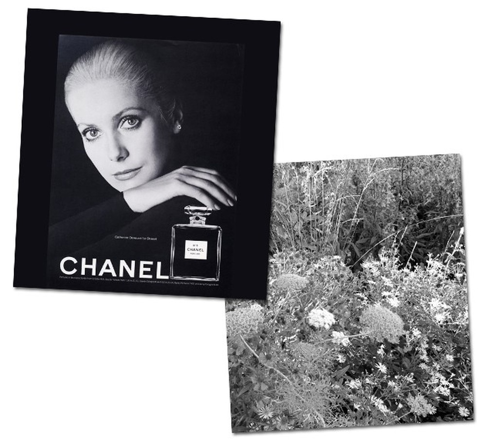 Expo que conta a história do Chanel nº 5 chega a Paris