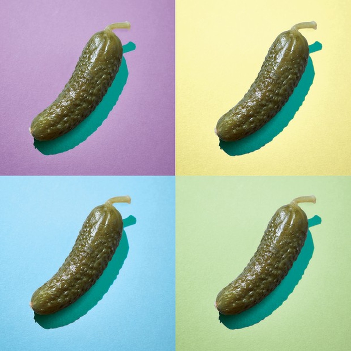 Receitas com picles para fazer em casa