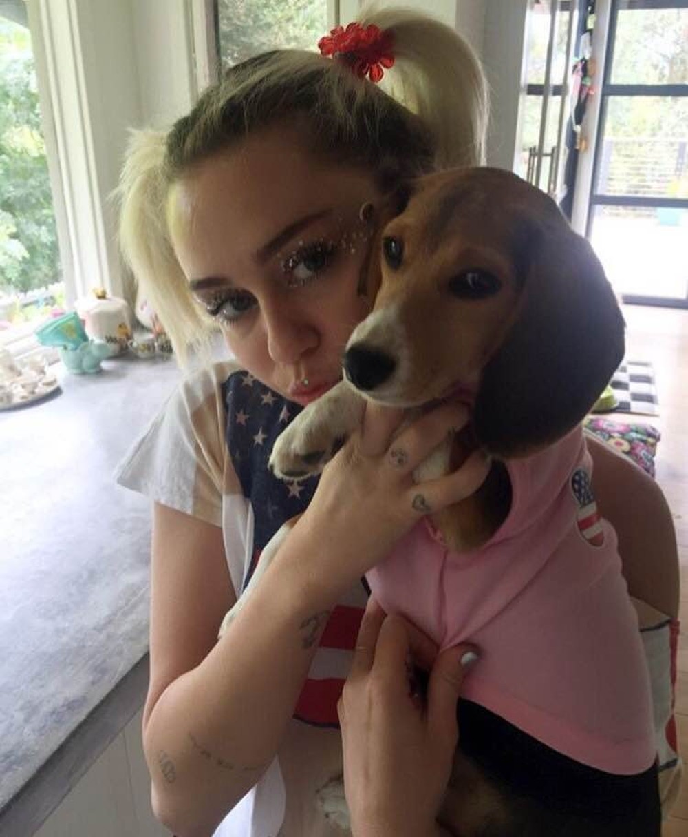 Miley Cyrus adota cadelinha da raça beagle, 'Barbie'