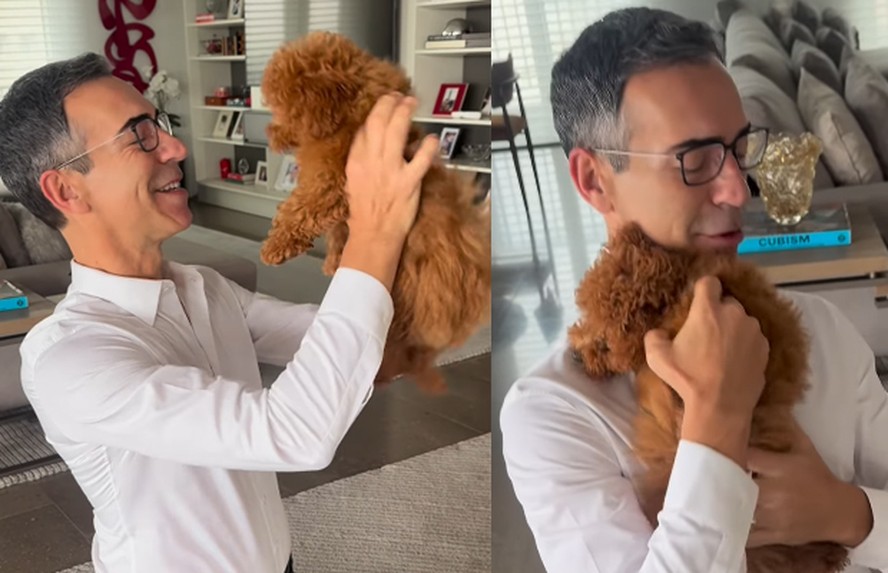 Cesar Tralli encanta ao apresentar nova integrante da família: 'Que ...