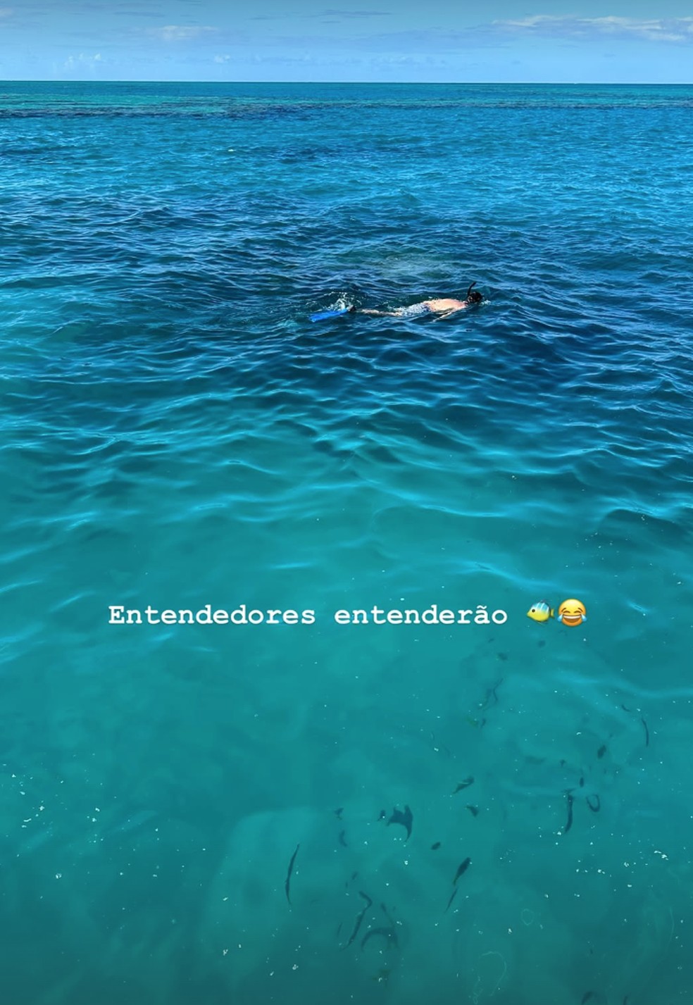Luma Costa pousa em heliponto flutuante no meio do mar na Austrália