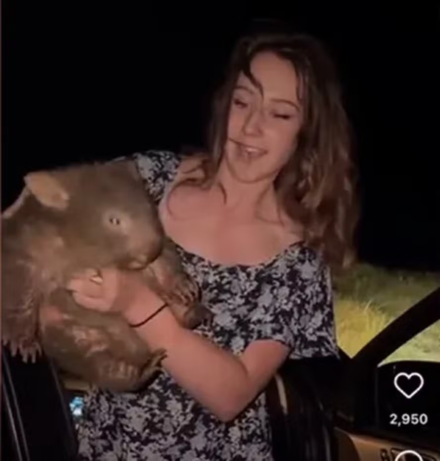 Influencer americana deixa a Austrália às pressas após revolta ao tirar ...