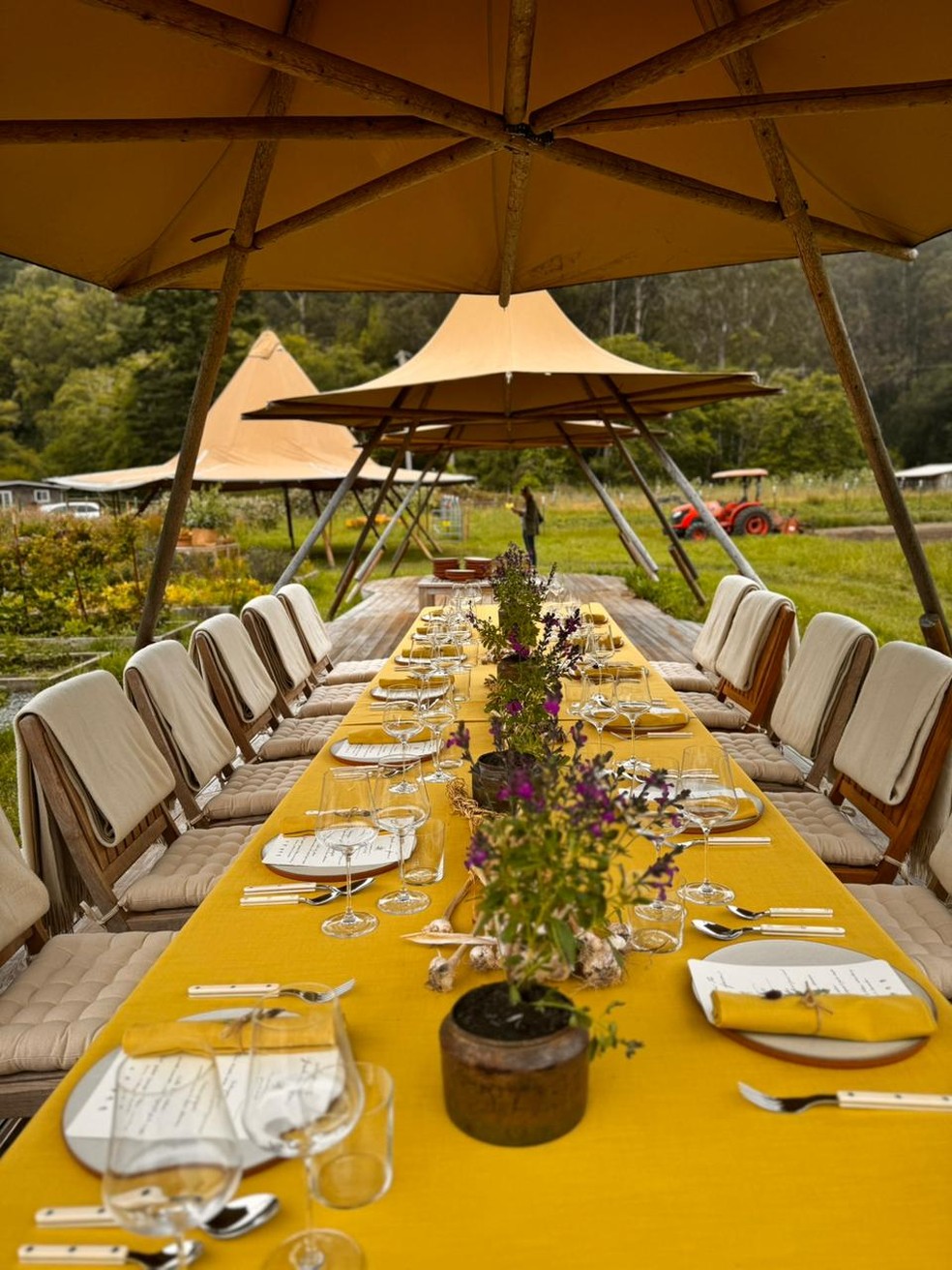 Do campo à mesa, a Califórnia vibrante do chef Michael Tusk