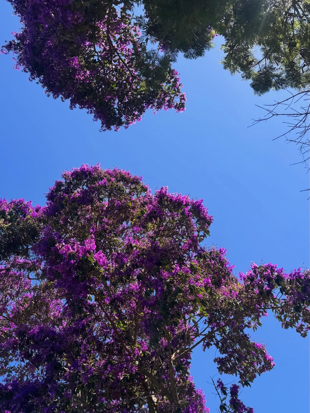 Isis Valverde abre álbum de fotos de viagem a Minas Gerais: 'Sem pressa ...