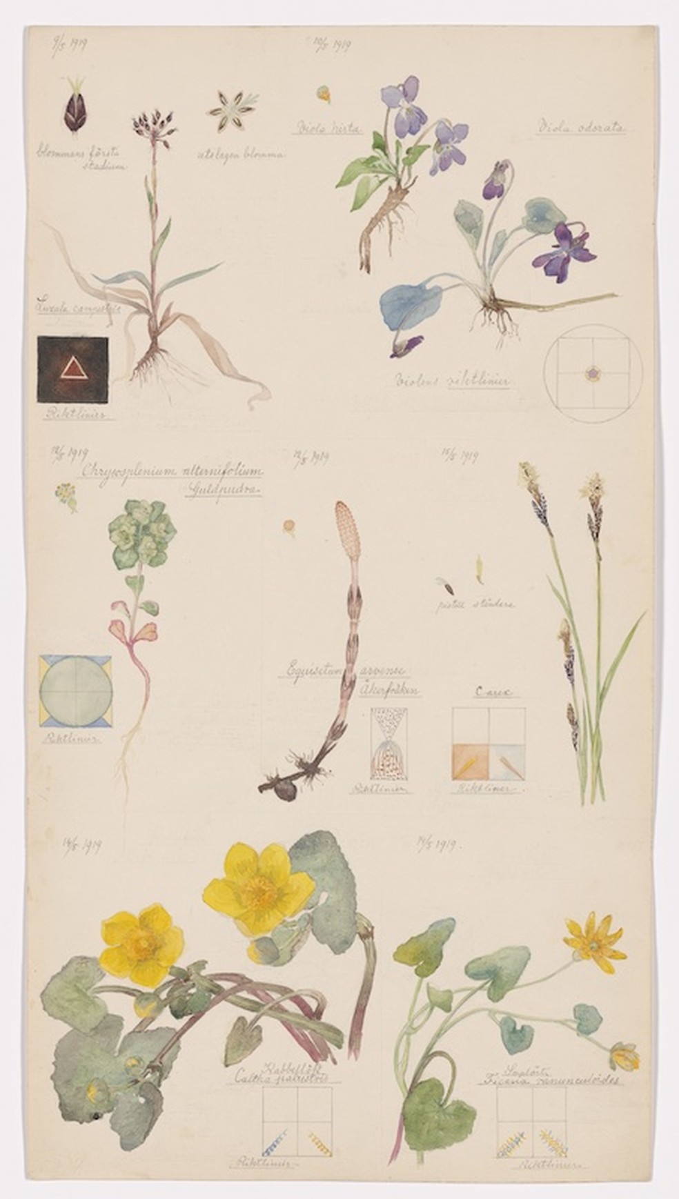 'Hilma af Klint – What Stands Behind the Flowers': um lado nunca antes ...