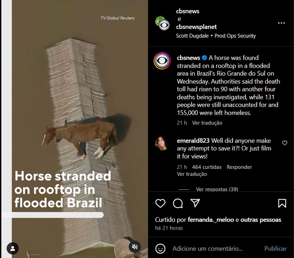 Resgate de cavalo ilhado em telhado no RS mobiliza imprensa internacional