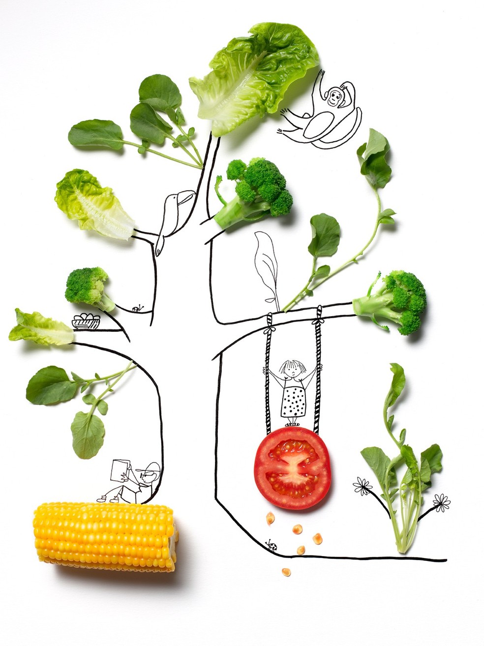 Mitos e verdades sobre as dietas da moda