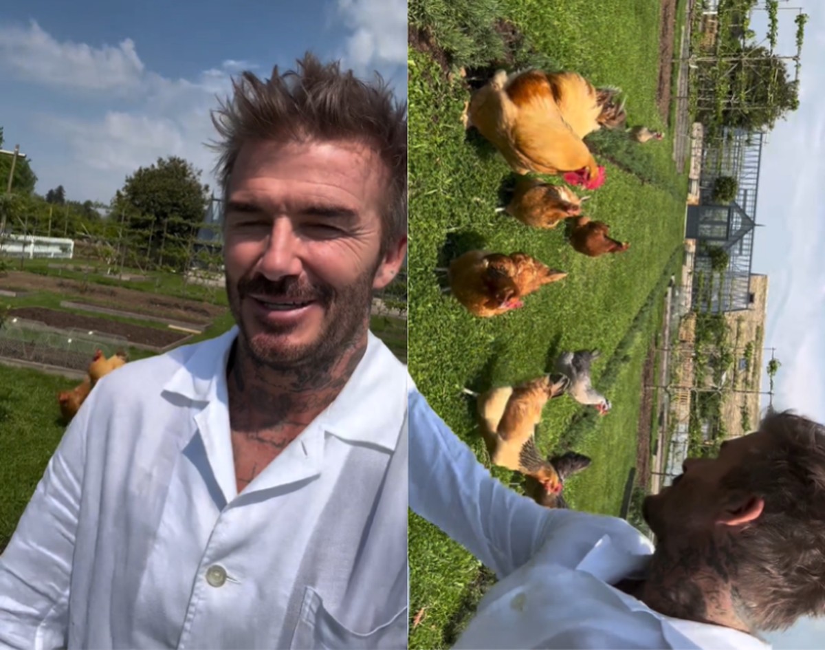 David Beckham posta vídeo onde é seguido por galinhas