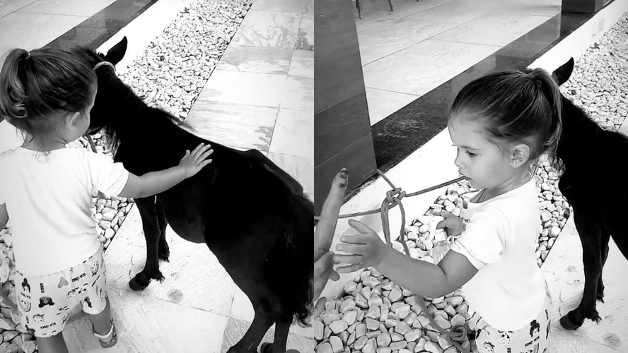 Poliana Rocha comunica falecimento do pônei de Maria Alice