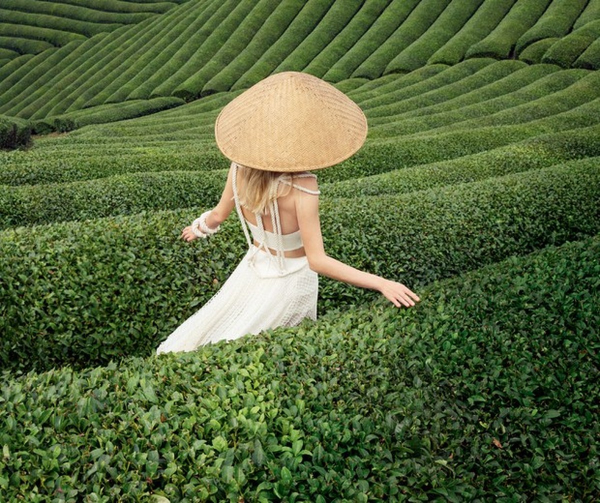 Chá-chá-chá: o matcha é a bebida mais cultuada do momento