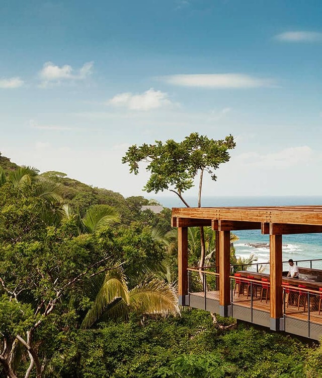 Treetop dining! 3 restaurantes instalados no topo de árvores que vão te ...