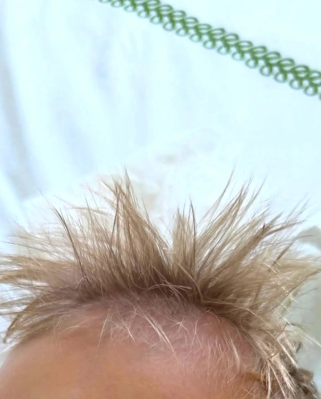 Hailey Bieber compartilha clique fofo do filho, Jack