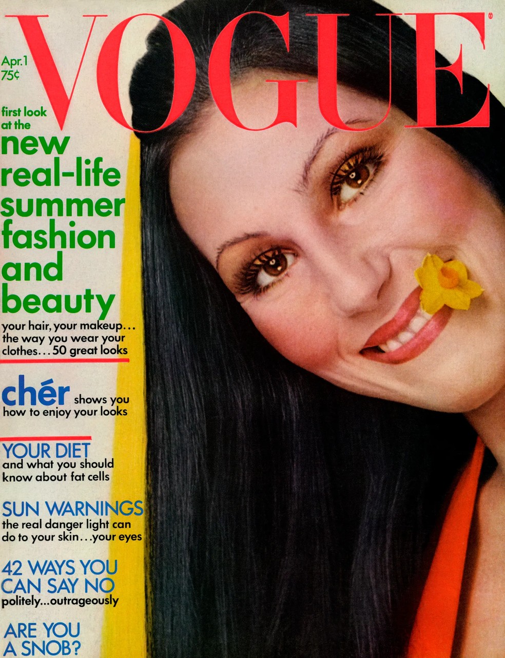 Cher: “É uma vida grande demais para caber em um único livro”