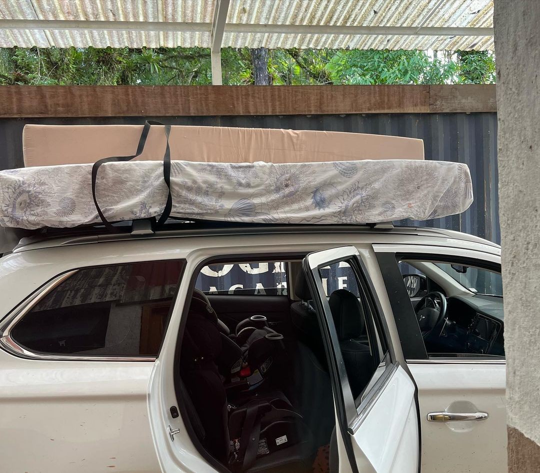 Chef Renata Vanzetto pede doações após tragédia no litoral norte ...