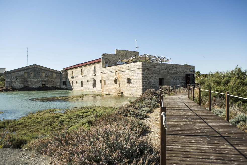 O belíssimo trabalho de Ángel León no restaurante espanhol Aponiente