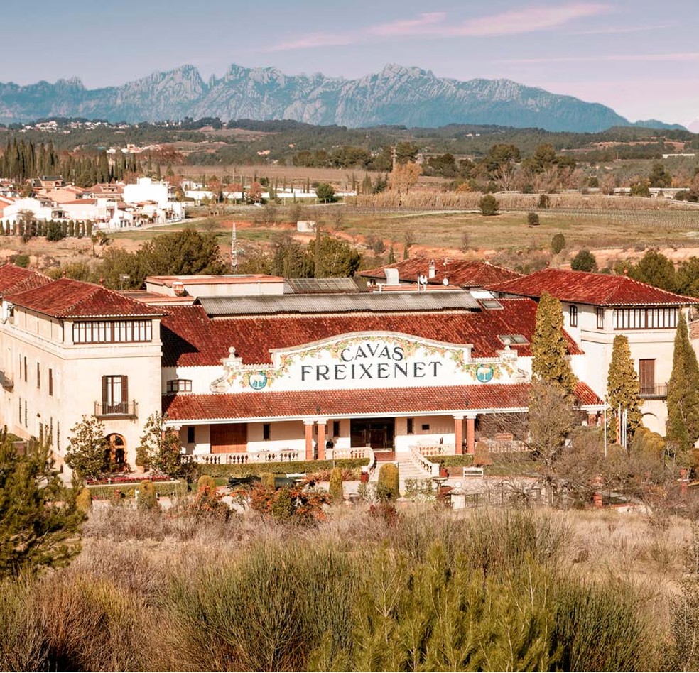 Um tour pela vinícola da Freixenet, na Espanha