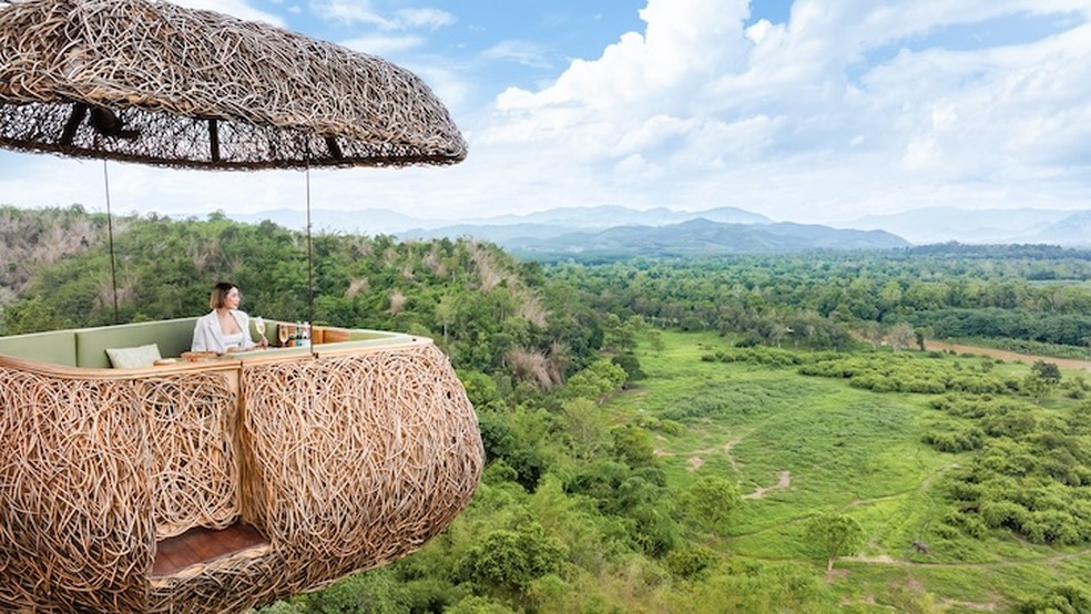 Treetop dining! 3 restaurantes instalados no topo de árvores que vão te ...